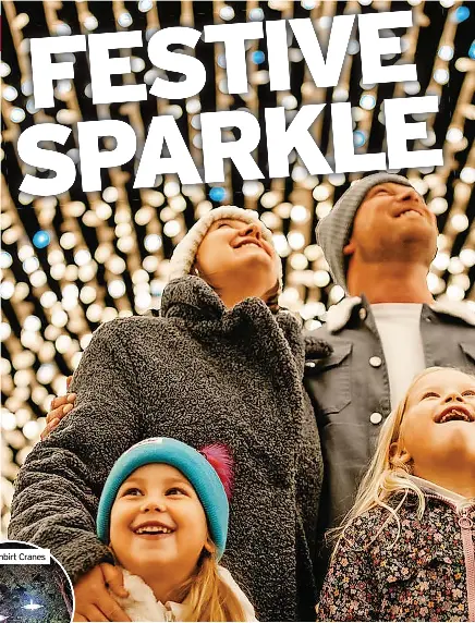 FESTIVE SPARKLE - PressReader