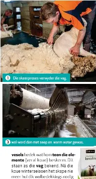 Alles oor wol - PressReader