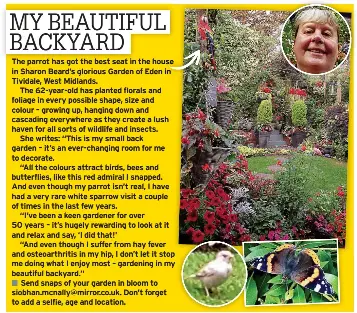 MY BEAUTIFUL BACKYARD - PressReader