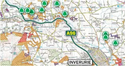 New A96 dualling routes put ancient woods at risk - PressReader