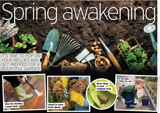 Spring awakening - PressReader