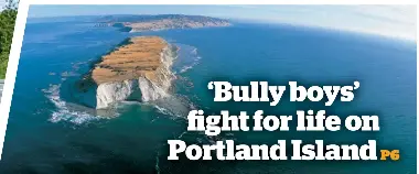 ‘Bully boys’ fight for life on Portland Island - PressReader