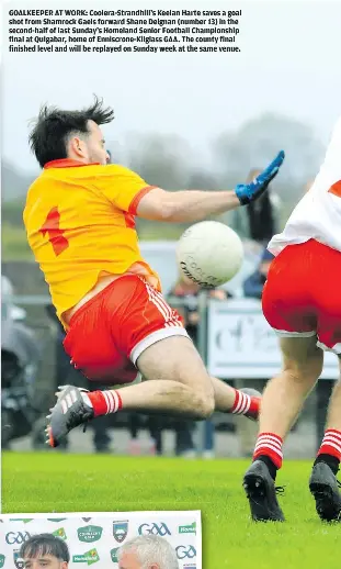 Harte saves the holders As Gaels display heart - PressReader