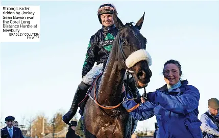 Murphy’s stable star Strong Leader should walk the walk - PressReader
