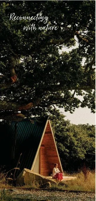Reconnecti­ng with nature - PressReader