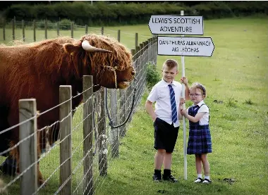 White Ribbon award a first for Scottish uni Campaign aims to tackle ...