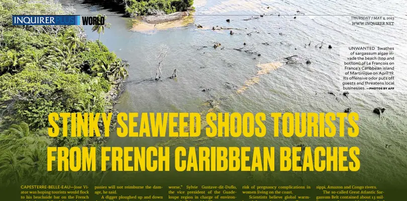 STINKY SEAWEED SHOOS TOURISTS FROM FRENCH CARIBBEAN BEACHES - PressReader