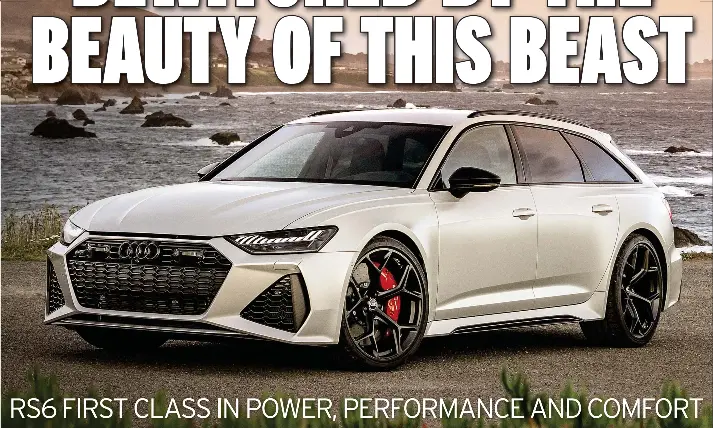 BEWITCHED BY THE BEAUTY OF THIS BEAST - PressReader