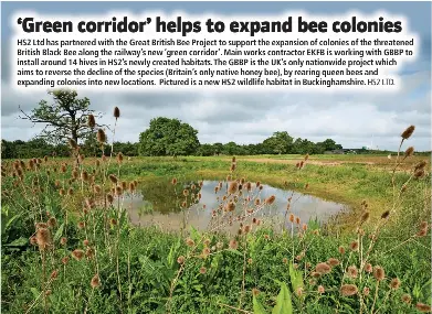 ‘Green corridor’ helps to expand bee colonies - PressReader