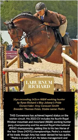 Equo Show Horse of the Year - PressReader