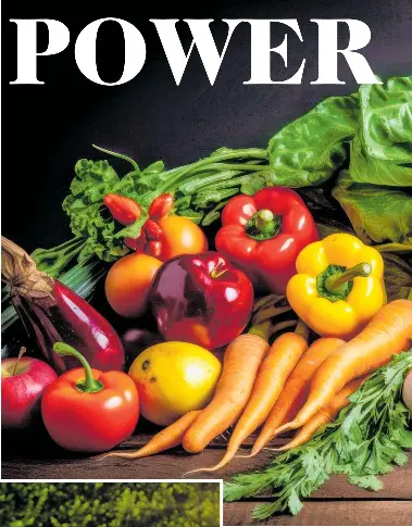 From living hell to living well - PressReader