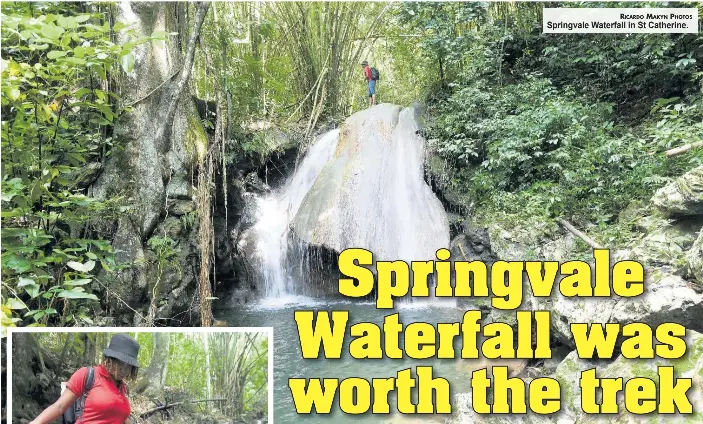 Springvale Waterfall was worth the trek - PressReader