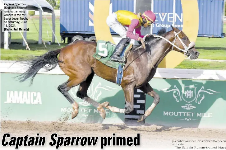 Captain Sparrow primed to run away with Caymanas Park feature race - PressReader
