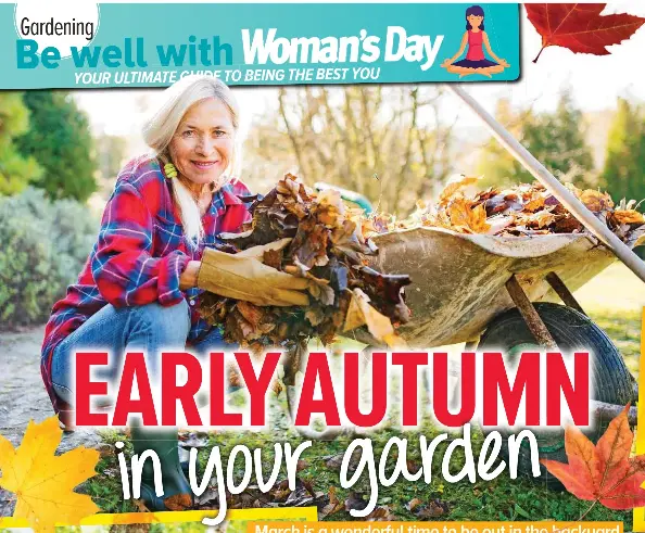 EARLY AUTUMN in your garden - PressReader