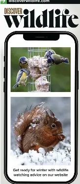 Step into a winter wonderland - PressReader