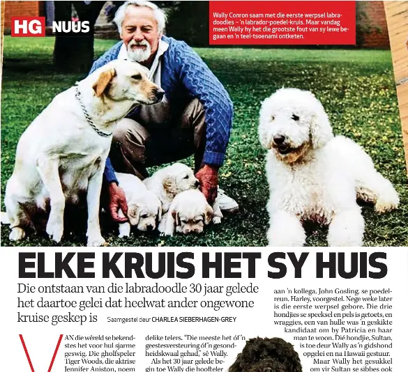 Die gier van ontwerpers­honde - PressReader