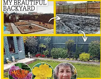 MY BEAUTIFUL BACKYARD - PressReader