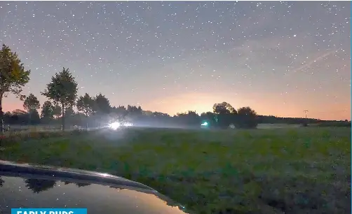 TOO MUCH NIGHT LIGHT CAUSES EARLY SPRING - PressReader