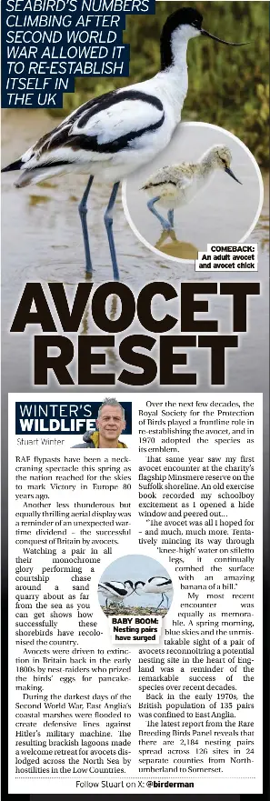 AVOCET RESET - PressReader