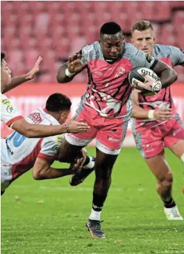 Pumas go hunting for back-to-back title victories - PressReader