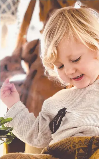 Arrest in alleged gay-hate murder - PressReader