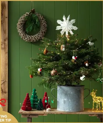 Small wonder - PressReader