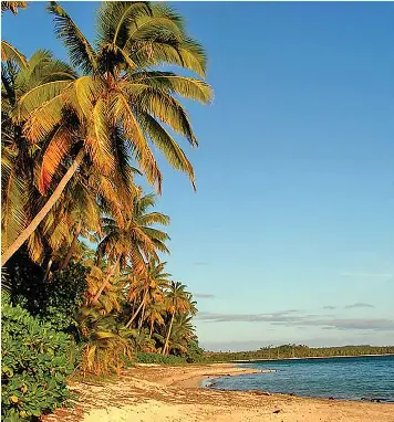 Bure Designs: Bringing Tradition and New Ideas to Fiji’s Buildings ...