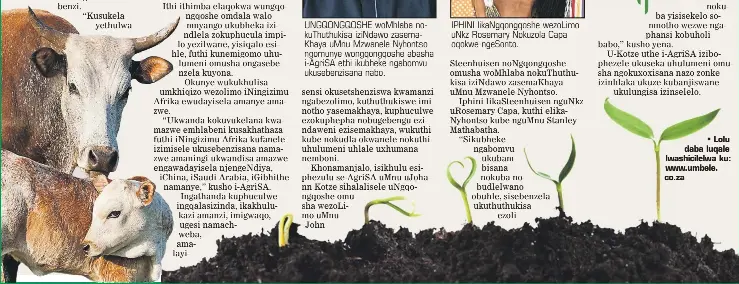 ‘PHEZU KOMKHONO HULUMENI’ - ABALIMI - PressReader