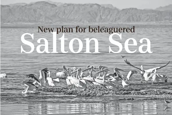 New plan for beleaguere­d Salton Sea - PressReader