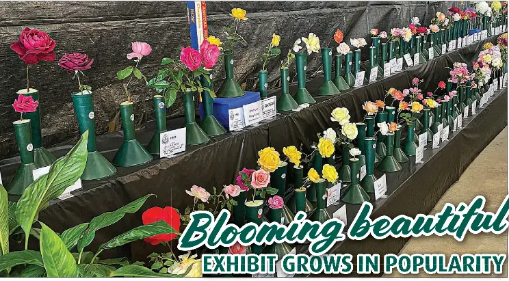 Blooming beautiful - PressReader