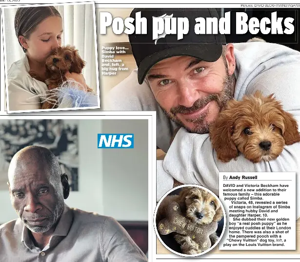 Posh pup and Becks - PressReader