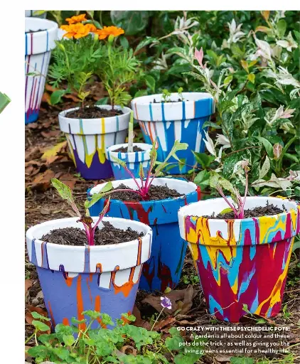 EASY STEPS TO MAKE CRAZY COLOUR POTS - PressReader