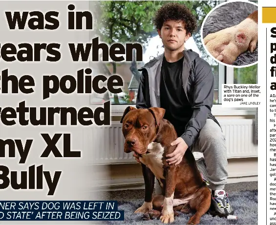 News Star ‘in pain every day’ in his fight with arthritis - PressReader