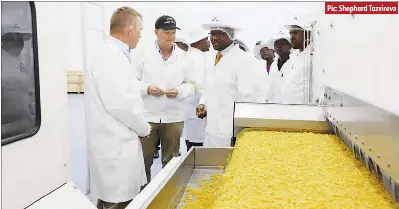 We can’t trace Mugabe’s U$15b diamonds: Zacc - PressReader