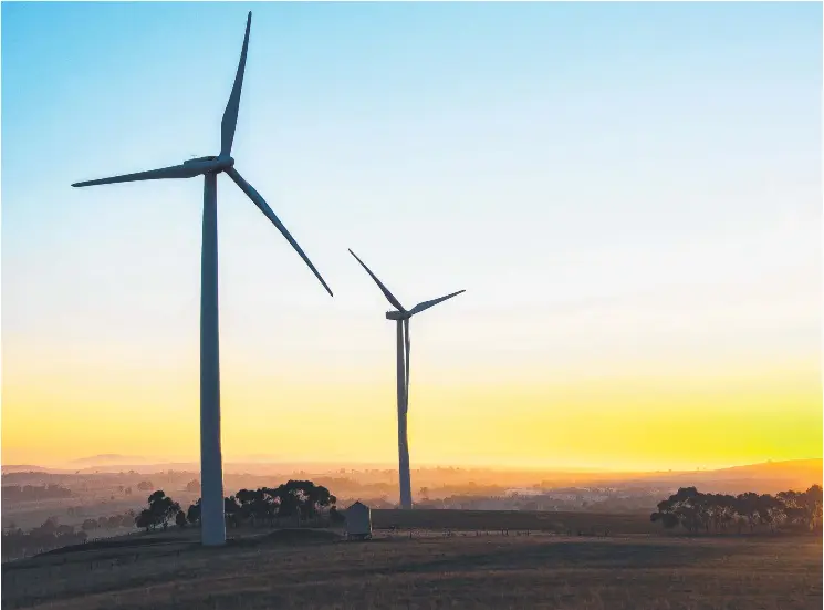 Wind farms a threat to koala survival - PressReader