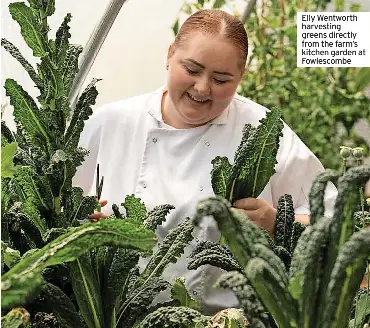 Newly opened restaurant has seasonal edge - PressReader