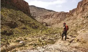 HIKING TRAILS - PressReader