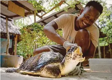 Kenya NGO saves turtles from nets, plastic and rising tides - PressReader