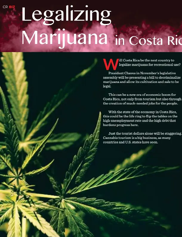 Legalizing Marijuana in Costa Rica - PressReader