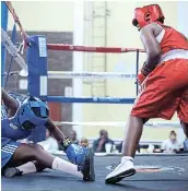 Third edition of Mpucuko show hailed as a knockout - PressReader