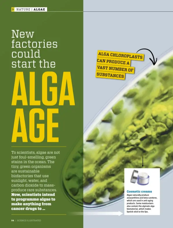 ALGAE FACTORY - PressReader