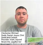 Ban for badger baiting four - PressReader