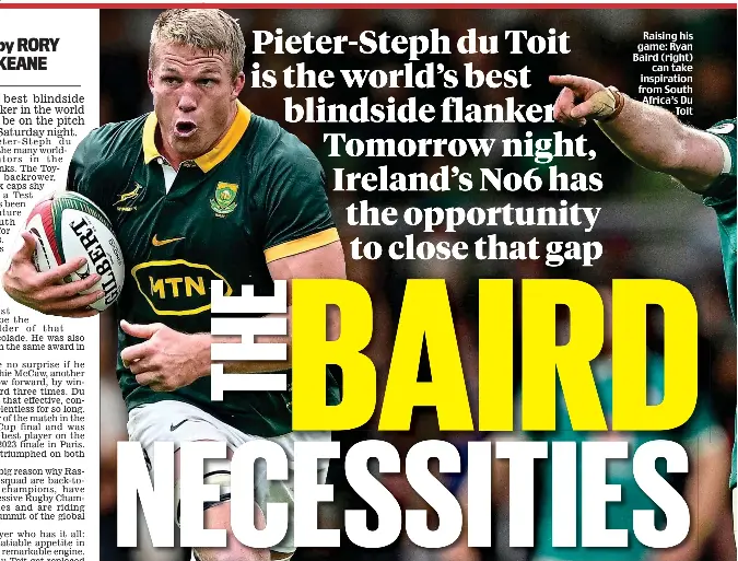BAIRD NECESSITIE­S - PressReader