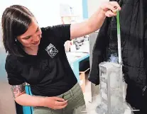 What goes on in the zoo’s basement - PressReader