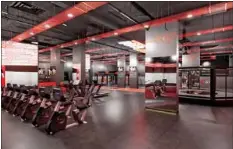 UFC gym launches first branch in Qatar - PressReader