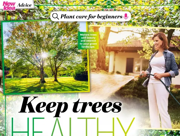 Keep trees HEALTHY - PressReader
