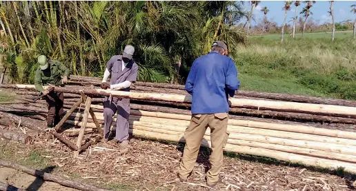 La solidarida­d por buen camino - PressReader