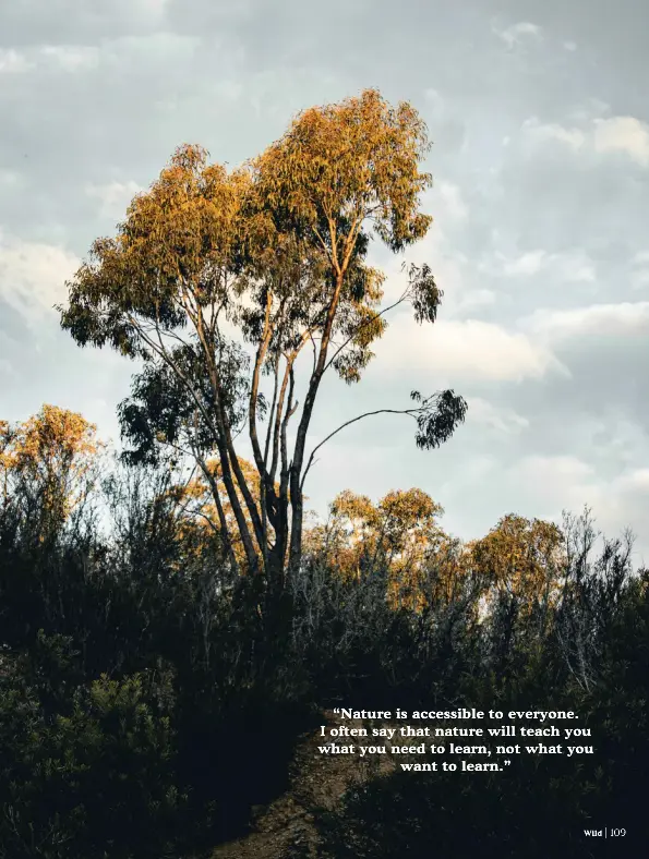 Walk on the wild side - PressReader