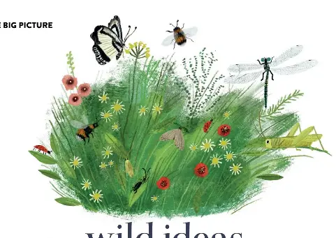 Wild ideas - PressReader