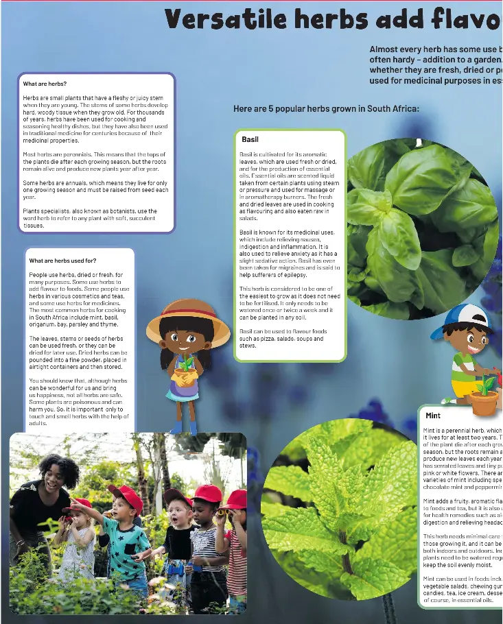 Versatile herbs add flavou - PressReader